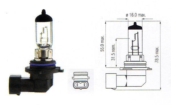 Halogen Bulb HB4 Clear 12V 100W | Halogen Bulbs